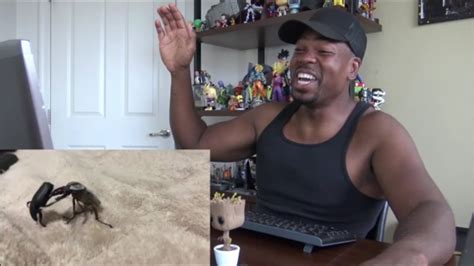 2 Bugs Boxing Reaction Youtube