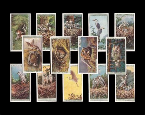 Collctablecigarette Cards Cat O P