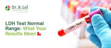 Ldh Test Normal Range What Your Results Mean