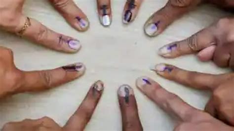 National Voters Day Theme History Significance And Inspirational Quotes Searching News