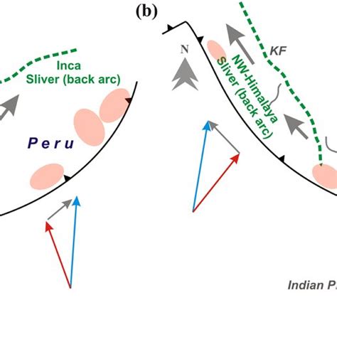 Backarc Vs Outer Deformation Front Stain Partition Distributed