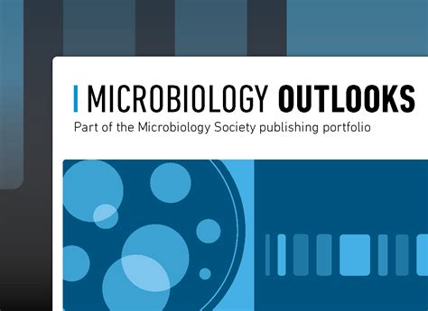 Microbial Primer An Introduction To Biofilms What They Are Why They
