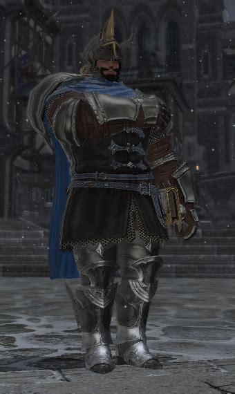 Armored Healer Eorzea Collection