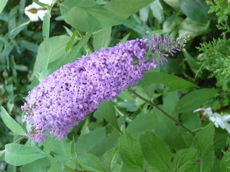 Fibromyalgia And Weight Gain Fibromyalgia Symptoms