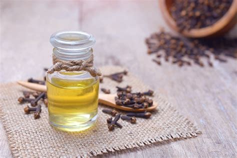 29 Clove Oil Benefits And Uses For Skin Hair And Health