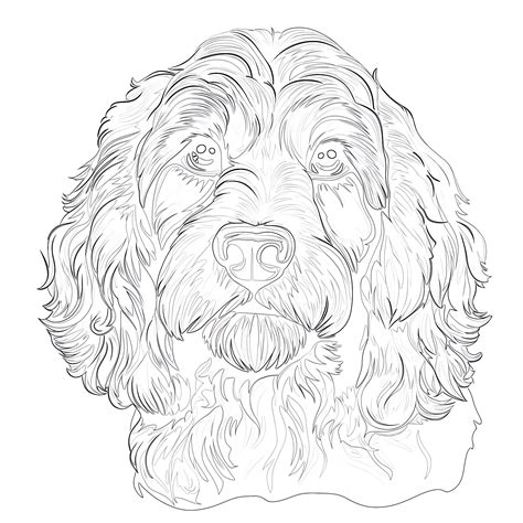 Cockapoo Coloring Pages 2025