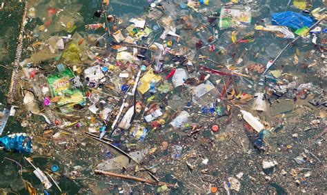 The Great Pacific Garbage Patch Is Now Twice As Big As Texas Earth