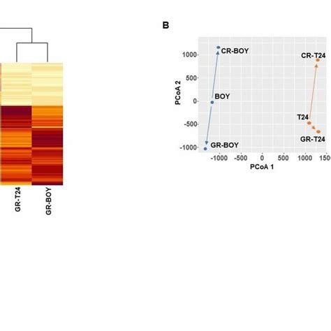 rnaseq analyses of drug resistant cells a cluster analysis of a