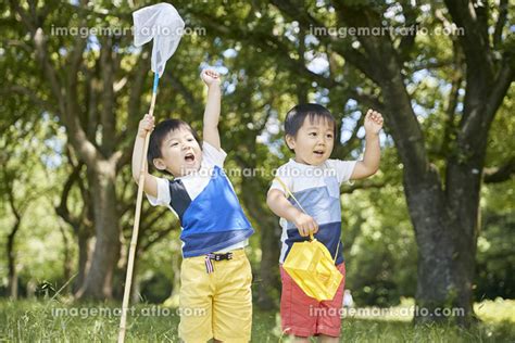虫取りをする日本人の男の子の写真素材 129302784 イメージマート