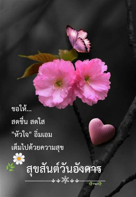 วันอังคาร🌿💗
