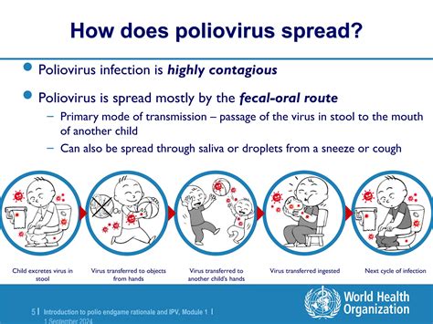Who Introduction Of Ipv Vaccine In Ri Ppt
