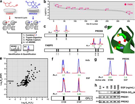 Site Specific Mapping And Quantification Of Protein S Sulfenylation In Cells Pmc