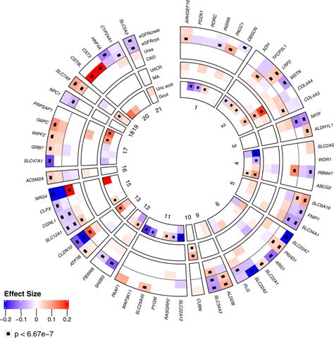 Associated Genes Across Phenotypes Circular Heatmap For Genes Download Scientific Diagram