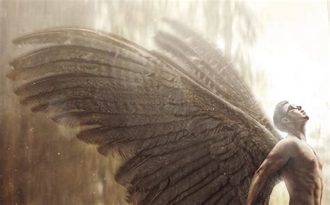 The Dos And Donts Of Adding Wings — Robert Cornelius