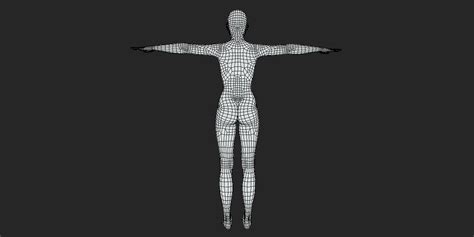 Stl File Women Body Base Mesh T Pose 👫 Obj ・3d Print Design To