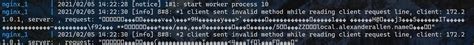 Docker Nginx Client Sent Invalid Method While Reading Client