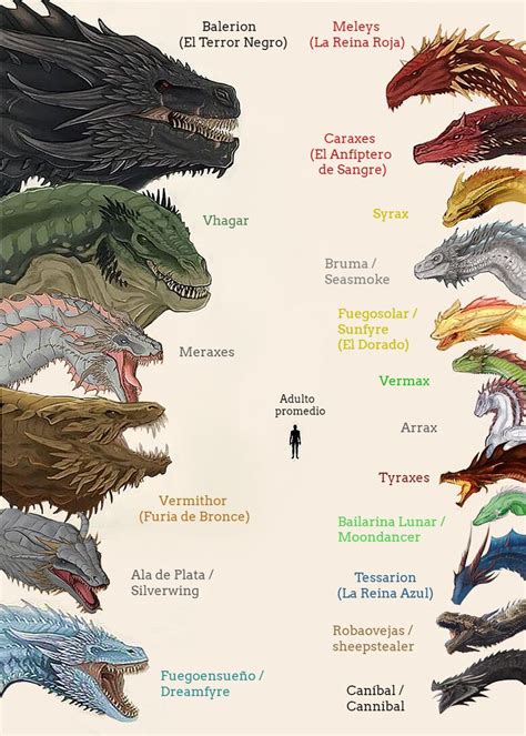 Targaryens Dragons Gráfica De Los Dragones De La Casa Targaryen