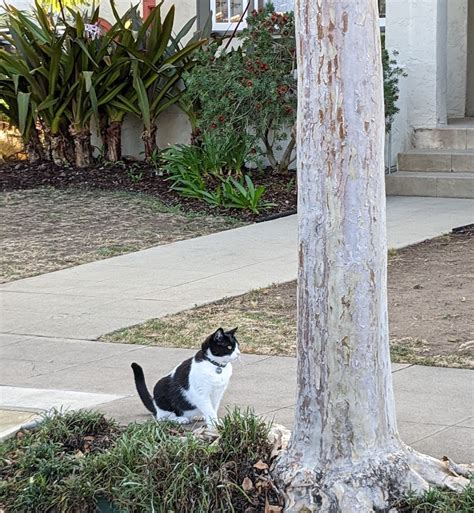 A Special Girl Named Bug Gone West