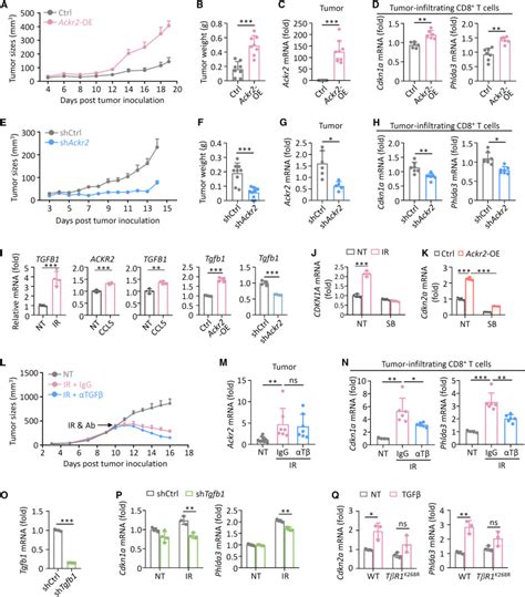 Chemoradiotherapy Induced Ackr2 Tumor Cells Drive Cd8 T Cell