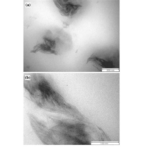 Tem Microphotographs Of Non Compatibilized Polypropylene Mmt Composites