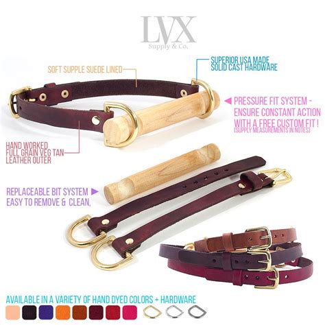 Bdsm Bit Gag Leather Collar With Poplar Bit Lvx Supply And Co