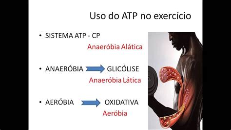 Fisiologia do exercício Bioenergética AULA 5 Metabolismo anaeróbio