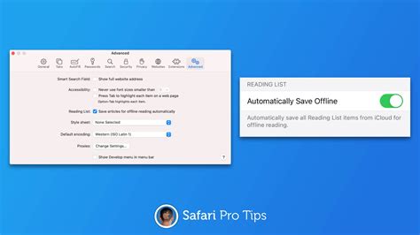 Automatically Save Your Safari Reading List For Offline Viewing Pro Tip