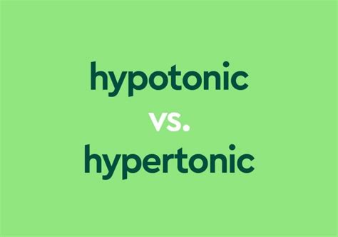 Hypotonic Vs Hypertonic Vs Isotonic Learn The Difference
