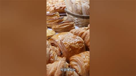 동양은 왜 쌀에 서양은 밀가루에 빠졌을까요 Youtube