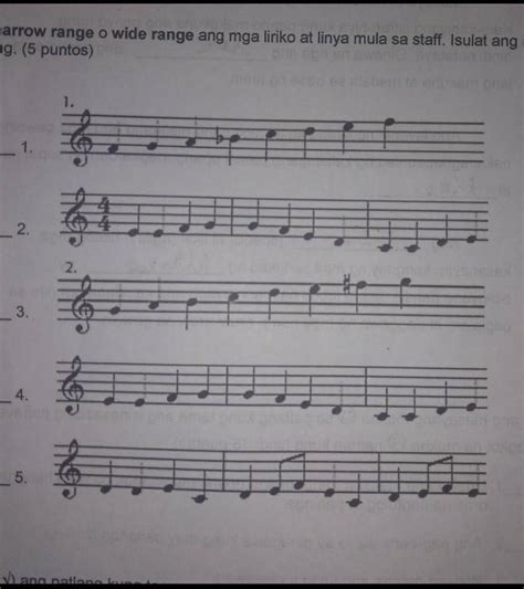 Narrow Range Or Wide Range Brainlyph