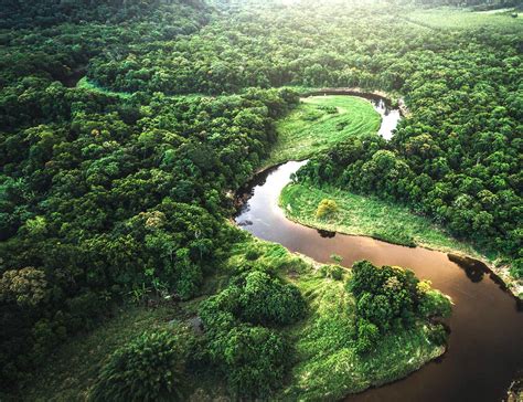 Zonas De Reserva Forestal En Colombia Agricultura De Las Americas