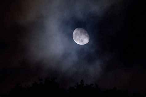 2560x1440 Trees Clouds Planet Moon Night Wallpaper Coolwallpapers Me