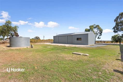 969 Light Pass Road Vine Vale Sa 5352 Domain