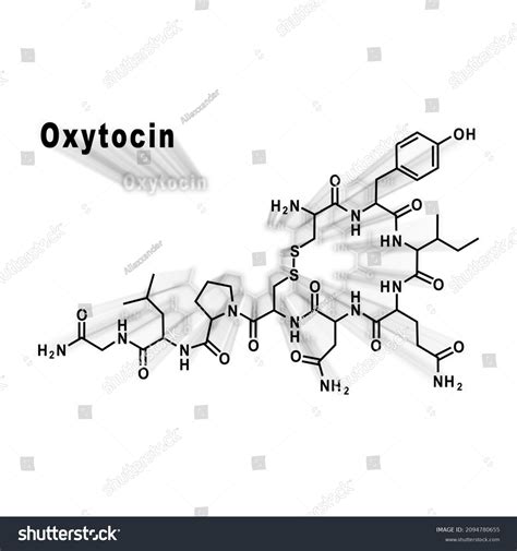 Oxytocin Hormone Structural Chemical Formula On Stock Illustration