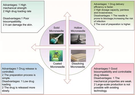 Research Progress On Chitosan Microneedle Arrays In Transdermal Drug D Ijn