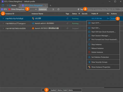 Use Alibaba Cloud Client To Manage Ecs Instances Elastic Compute