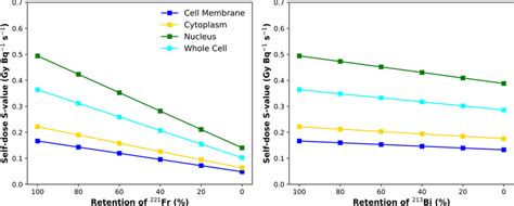 Total Self Dose S Value Gybq⁻¹ S⁻¹ To The Cell Nucleus With Various