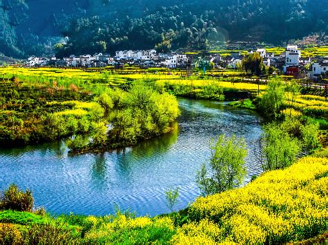 南坪·齐岳山康养生态园丨康养避暑，清凉整个夏天 湖北日报新闻客户端
