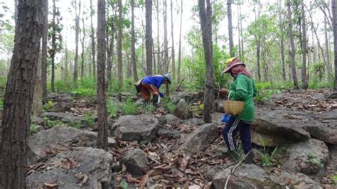 สลด รถตู้หลับในพุ่งข้ามเกาะถนนชน 18 ล้อ ดับสยอง 3 ศพ หญิงนั่งมาด้วยเจ็บ