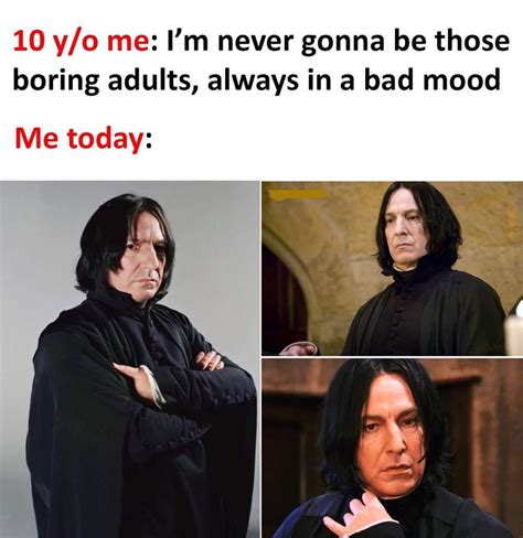Severus Snape Harry Potter Jokes Snape Harry Potter Harry Potter Funny