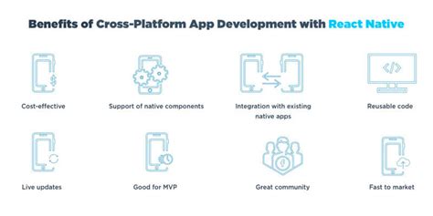 Convincing Reasons Why Should You Should Choose Native