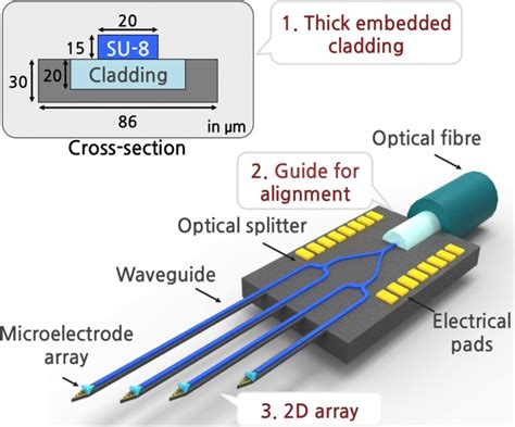 In Vivo Optical Modulation Of Neural Signals Using Monolithically Integrated Two Dimensional