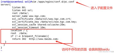 nginx 变量 日志分割 自定义图标 证书 （四） csdn博客