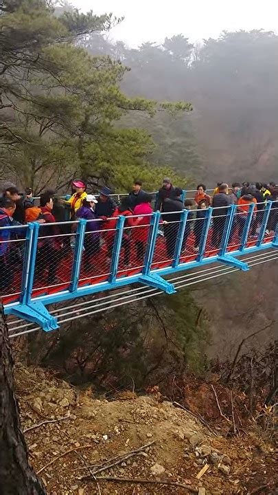 출렁다리 소금강 Youtube