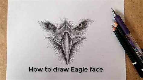 Eagle Front View Sketch