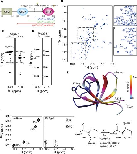 Figure From Proline Cis Trans Isomerization Controls Autoinhibition