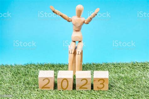 풀이 무성한 초원에서 2023년을 가진 일부 큐브 옆에 앉아 있는 더미의 수평 이미지 새해 개념 0명에 대한 스톡 사진 및 기타