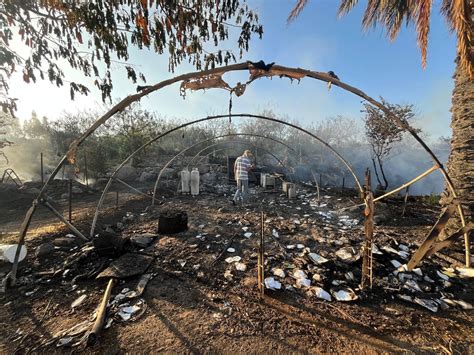 Nissan Buller כואב הלב לבלוב מלניקוב הקים את גן החיים Facebook Nissan Buller כואב הלב לבלוב מלניקוב הקים את גן החיים Facebook