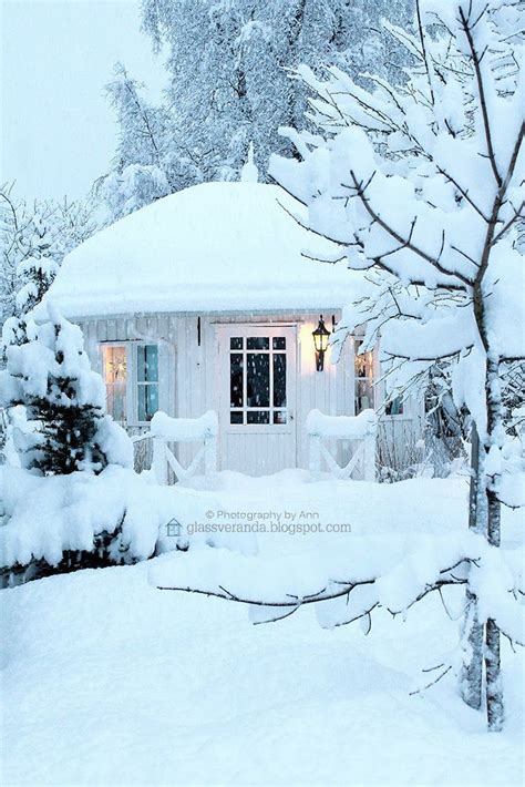 A Small White House Covered In Snow Next To A Tree And Shrubbery With