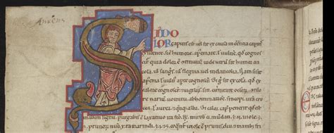 Curious Cures In Cambridge Libraries Making Medieval Medical Recipes